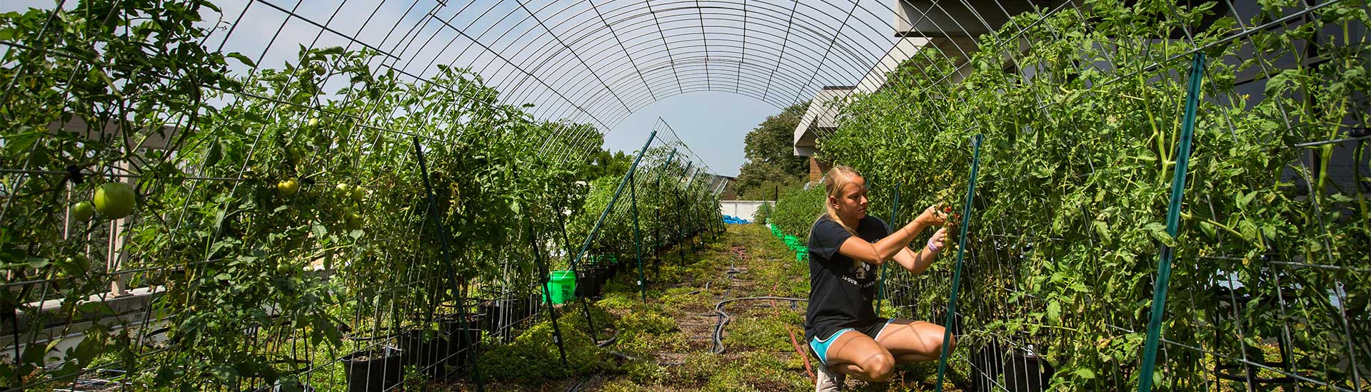 Environmental Science and Conservation | UW-Platteville