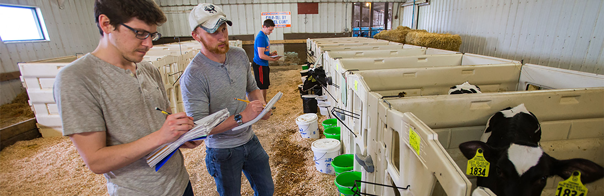 Dairy Science | UW-Platteville
