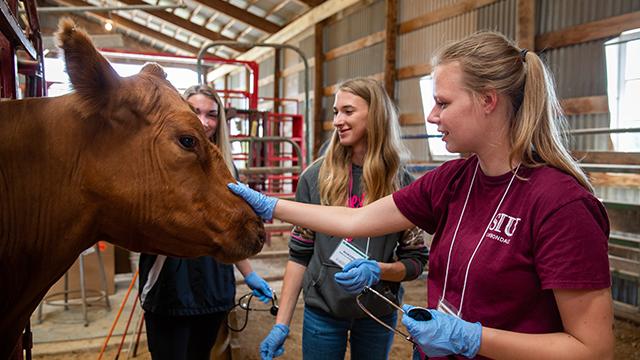 Pre-Veterinary Medicine | UW-Platteville