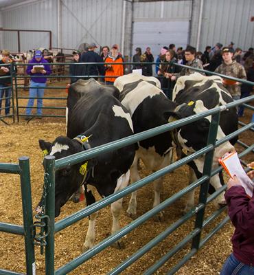 FFA Career Development Events | UW-Platteville